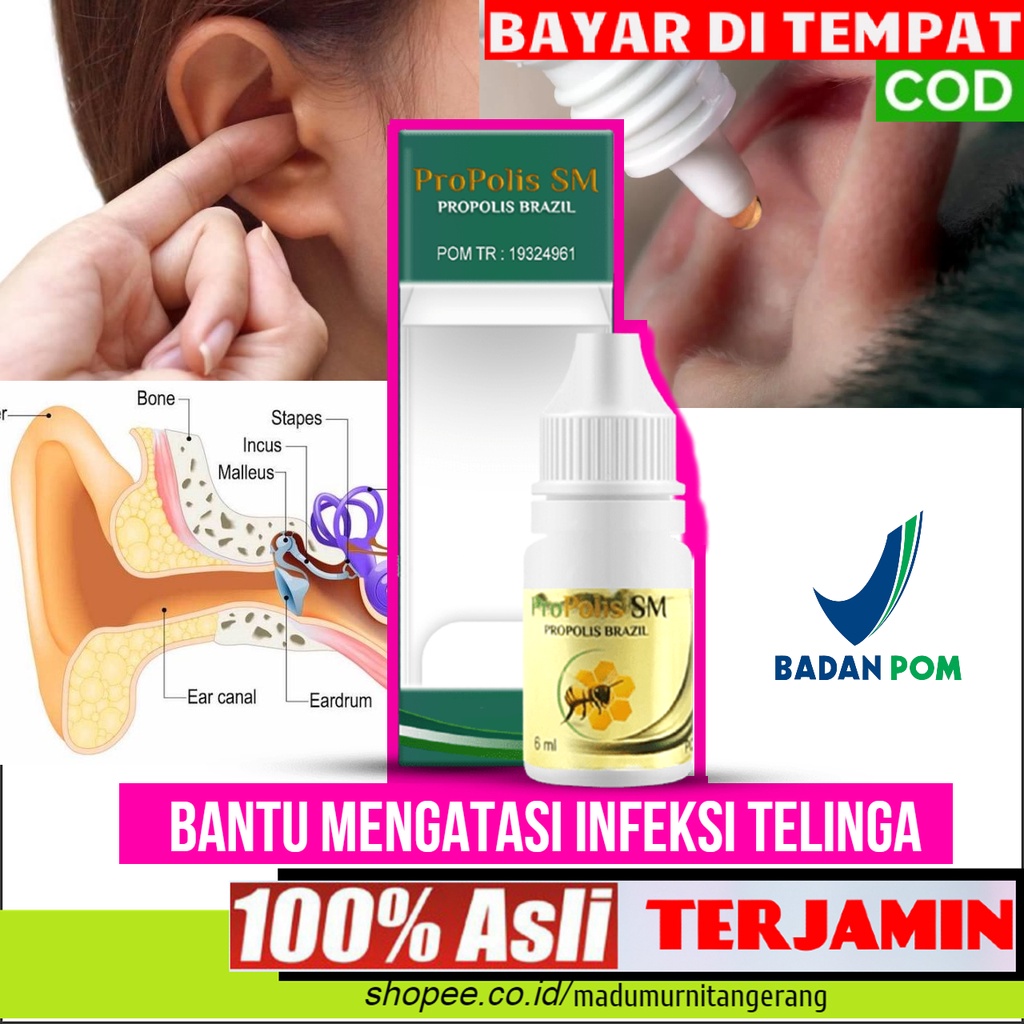 Jual Obat Tetes Telinga Congek / Curek / Bernanah / Berair / Berdengung ...
