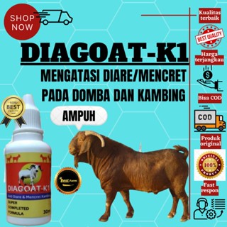 Jual Obat Mencret Ternak Kambing Domba Super Ampuh Diagoat-k1 best farm ...
