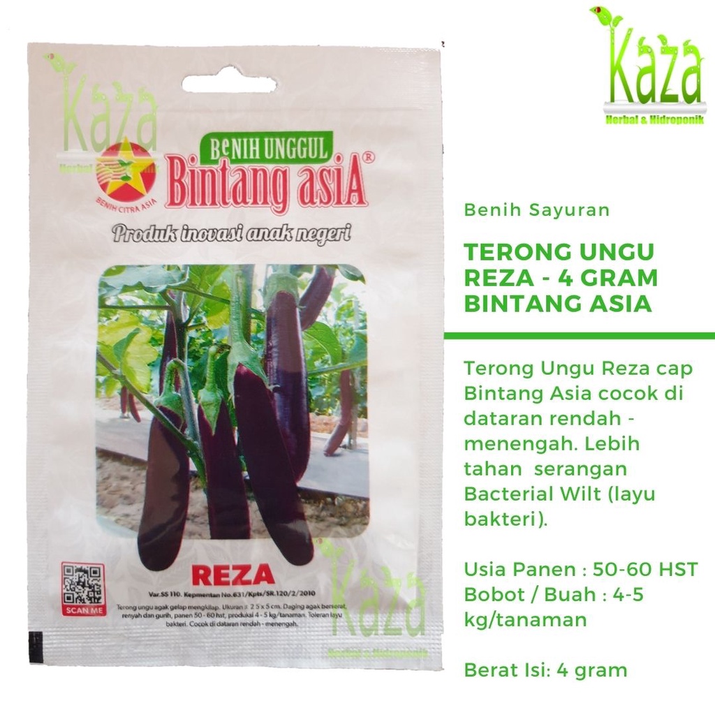 Jual Benih Terong Ungu Reza Cap Bintang Asia 4 gram - Terung | Shopee ...