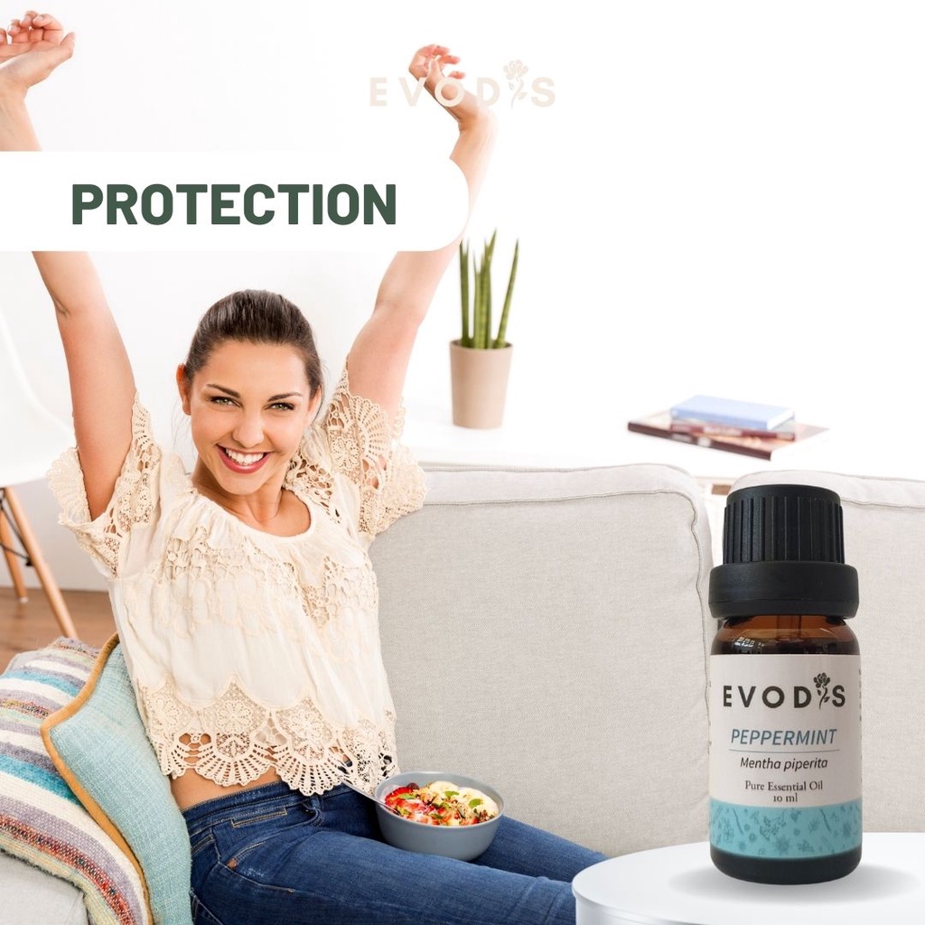 Jual Evodis Peppermint Pure Essential Oil Minyak Aromaterapi Diffuser ...