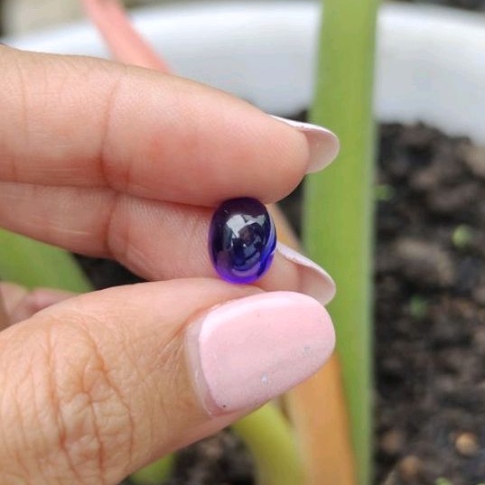 Jual Natural blue safir oval polos D / blue sapphire oval | Shopee ...