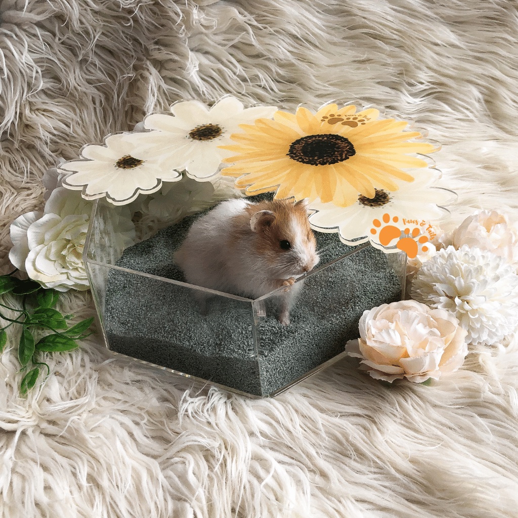 Jual READY STOCK! PIXIE Sandbox - Hexagonal Sandbox Acrylic Hamster ...