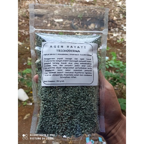 Jual Trichoderma harzianum Media Padat | 250 gr Trichoderma Harzianum ...