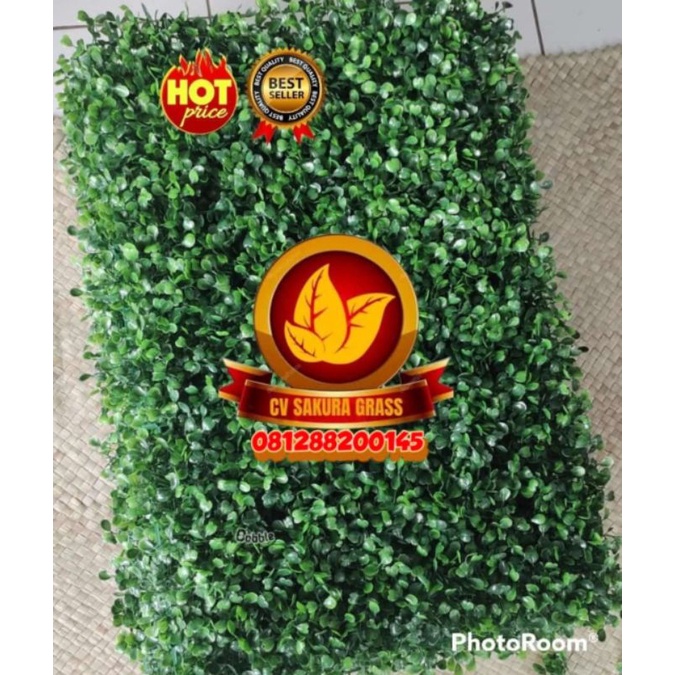 Jual DAUN DOLAR RAMBAT SINTETIS - TANAMAN HIAS DINDING UKURAN 40X60 CM ...