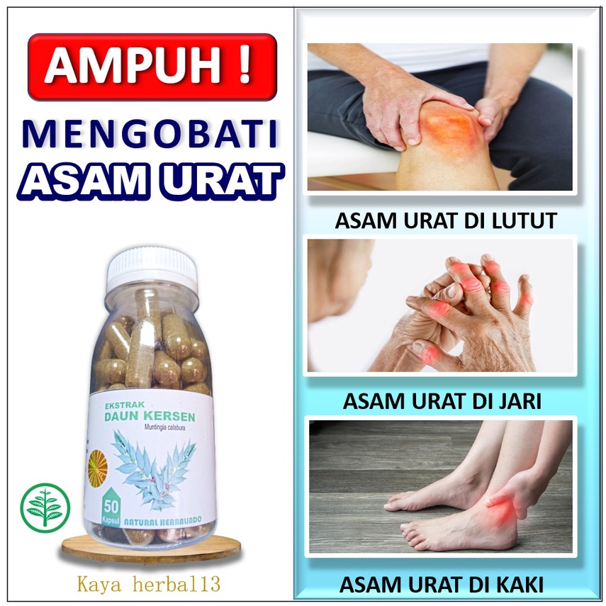 Jual Daun kersen kapsul asam urat herbal penyakit jantung gula darah radang darah tinggi isi 50 ...