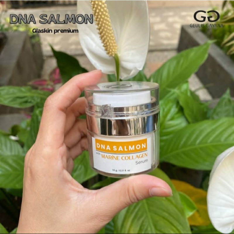 Jual [BPOM] Serum DNA Salmon Glaskin Premium 100% Original | Shopee ...
