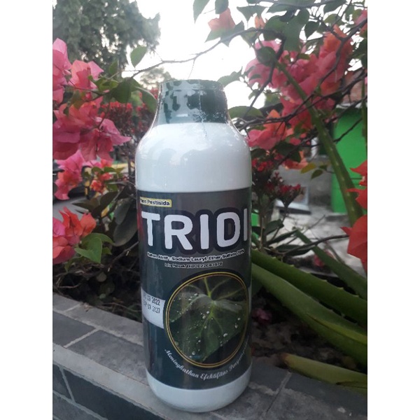 Jual Perekat Penembus Perata Pestisida Tridi Stick Kemasn 1Liter ...