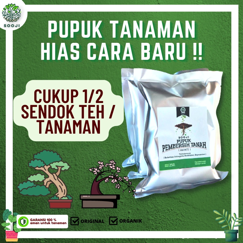 Jual SOOJI Trichoderma - Pestisida Nabati / Fungisida Organik / Obat ...