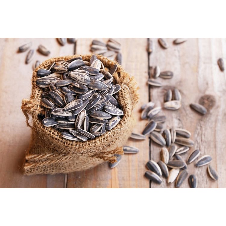 Jual Kuaci / Biji Bunga Matahari / Sunflowers Seeds | Shopee Indonesia