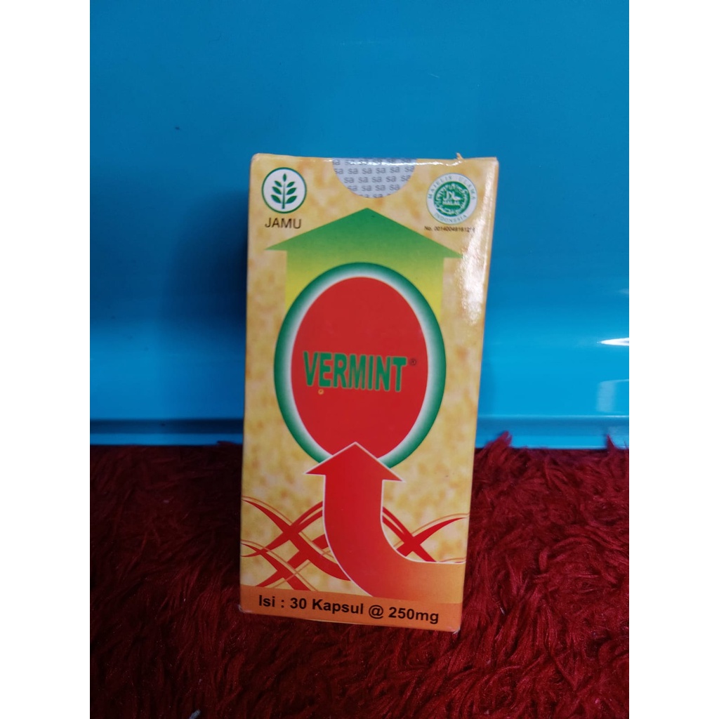 Jual Vermint isi 30 kapsul Obat Typhus / Tipus Tipes Obat Demam ...