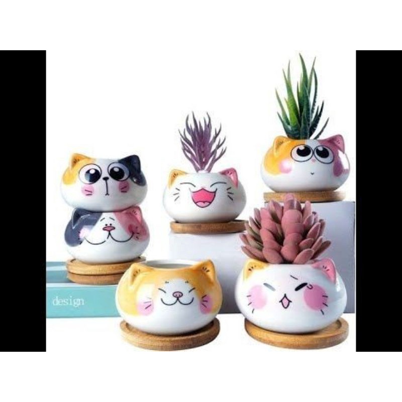 Jual pot sekulen pot bunga emot kucing | Shopee Indonesia