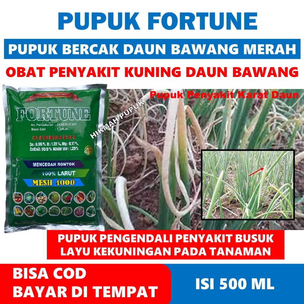 Jual 1 KG Booster BAWANG DAUN FORTUNE Cegah Kerdil dan Hawar Tanaman Bawang - Pupuk Tepung dan ...