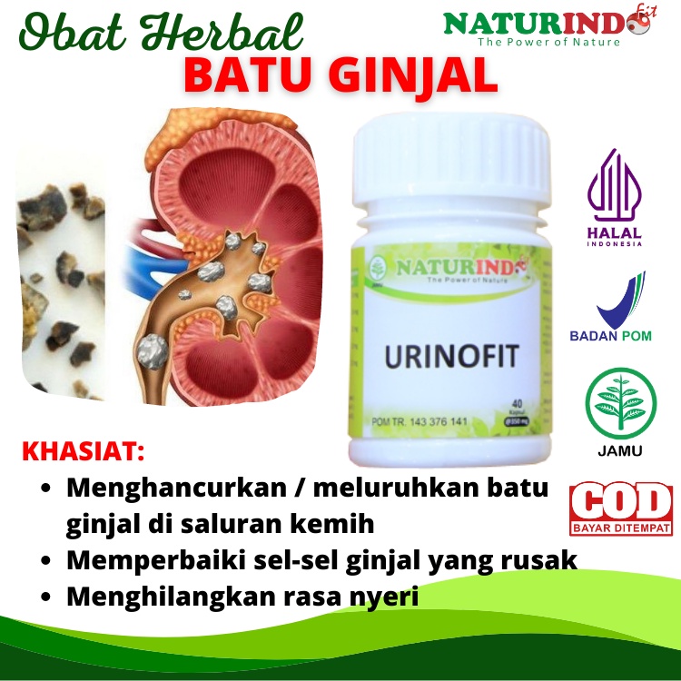 Jual Obat Gagal Ginjal Bocor Kronis Batu Ginjal Herbal Urin Berbusa ... Jual Obat Gagal Ginjal Bocor Kronis Batu Ginjal Herbal Urin Berbusa ...
