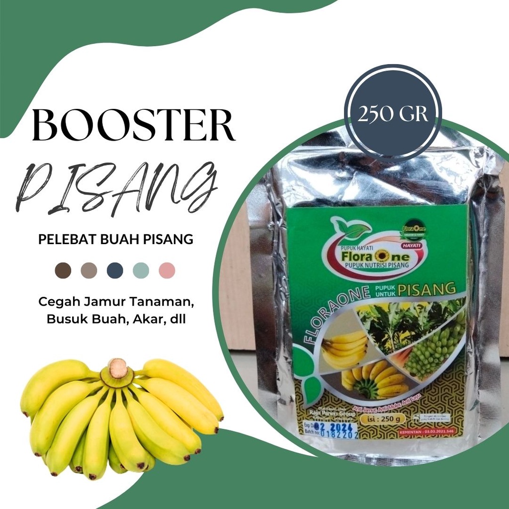 Jual Booster Hayati Pupuk Pisang Cavendis, Pupuk Trichoderma Layu Fusarium Pisang | Shopee Indonesia