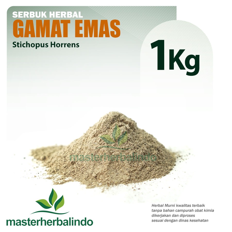 Jual Serbuk GAMAT EMAS Pembangkit Libido Kelenjar Getah Bening Stroke ...