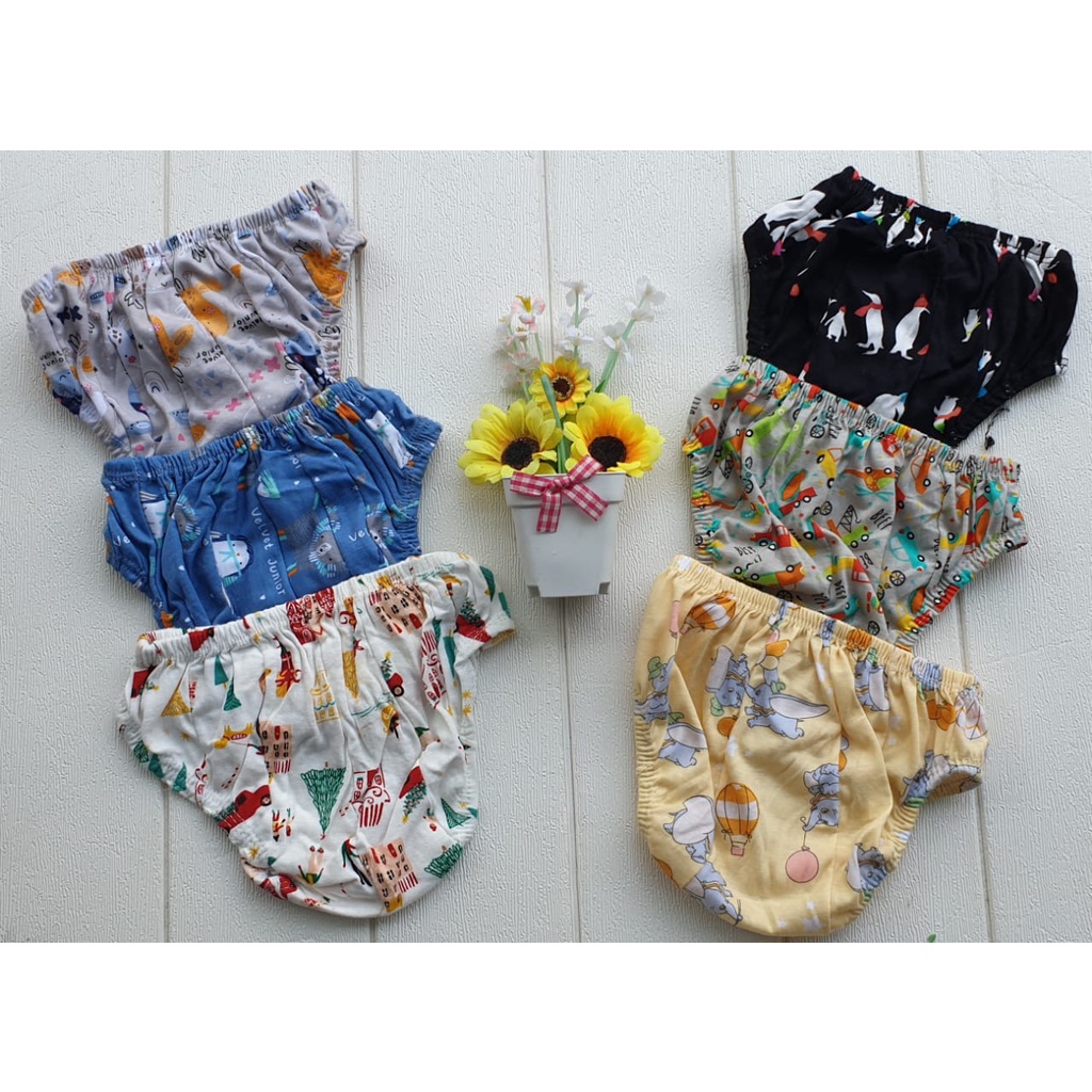 Jual CELANA DALAM ANAK UNISEX - CELANA DALAM PREMIUM CEWEK COWOK BY LIBBY 2-8 TAHUN | Shopee ...