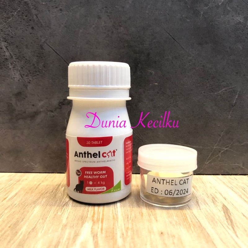 Jual Anthel Cat Kalbe Farma Obat Cacing Kucing (1 Tablet) | Shopee ...