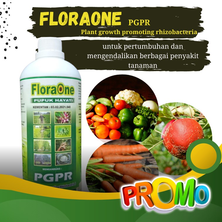 Jual Pupuk PGPR Perangsang Pertumbuhan Tanaman, pupuk Organik Hayati Trichoderma Pupuk Pgpr ...