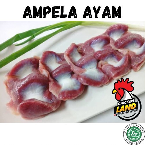 Jual Ampela Ayam pack 1Kg ( FROZEN ) | Shopee Indonesia