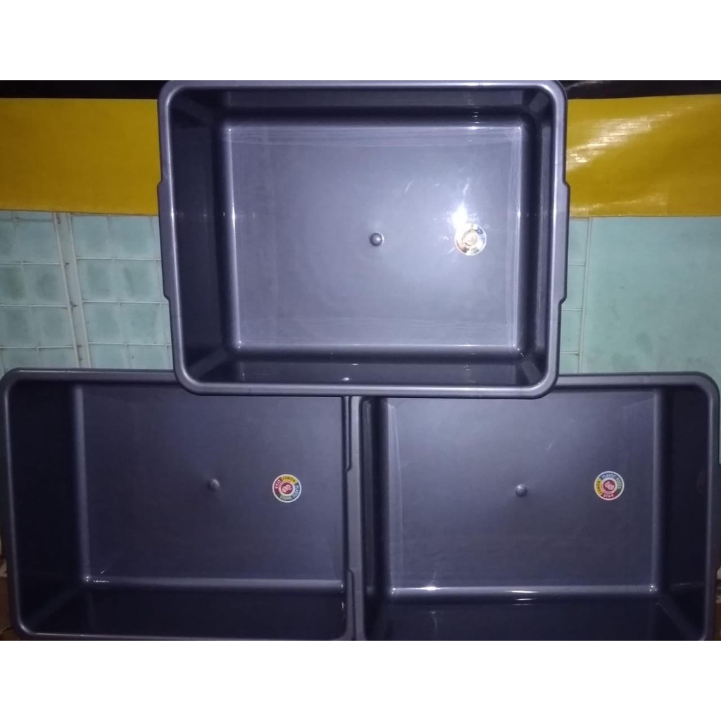 Jual Bak Rendam Jemur untuk Reptile-Sulcata-kura kura darat-Bak Pasir ...