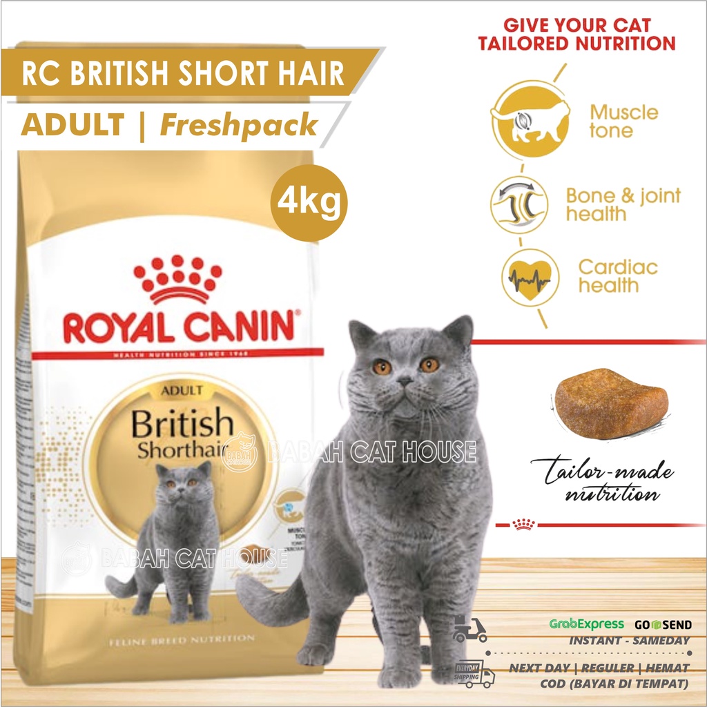 Jual 4KG RC BRITISH SHORTHAIR ADULT Royal Canin British Short Hair BSH ...