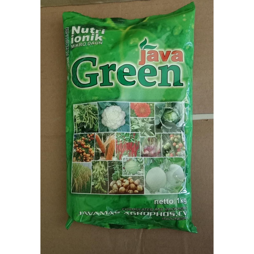Jual JAVA GREEN 1kg | Shopee Indonesia