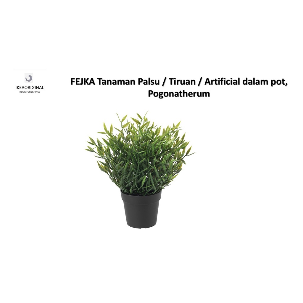 Jual FEJKA Tanaman Palsu / Tiruan / Artificial dalam pot, Pogonatherum ...