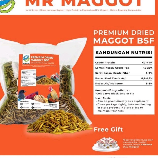 Jual MR MAGGOT - Maggot/Magot Kering Dry Maggot Grade PREMIUM 250gram ...
