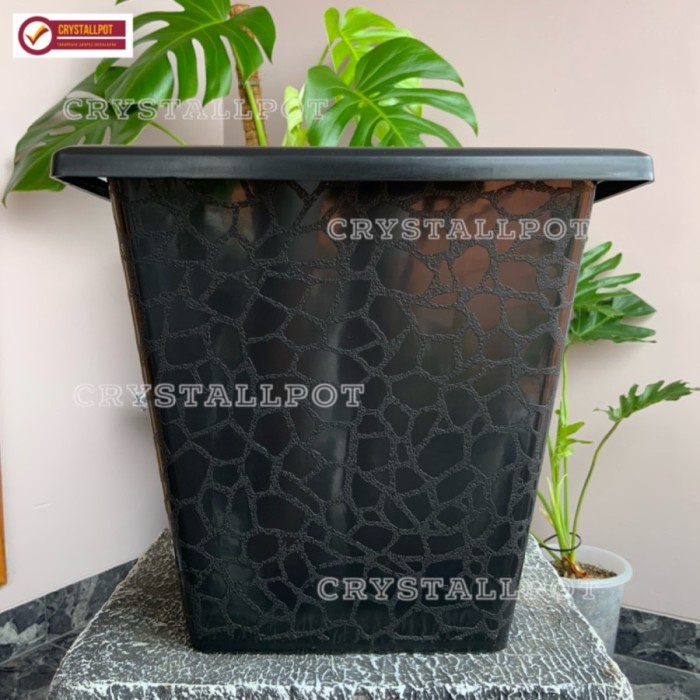 Jual Pot Besar Tanaman Hias Bunga Buah Kotak Hitam Merah Putih 40 45 ...