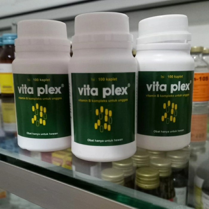 Jual Vita Plex Botol Isi 100 Kaplet Vitamin B Kompleks Vitaplex Unggas ...