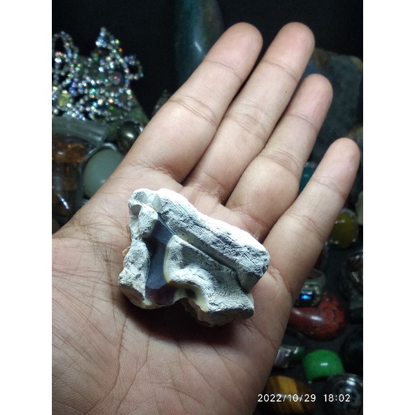 Jual Batu Marjan Merah ( Red Corral ) | Shopee Indonesia