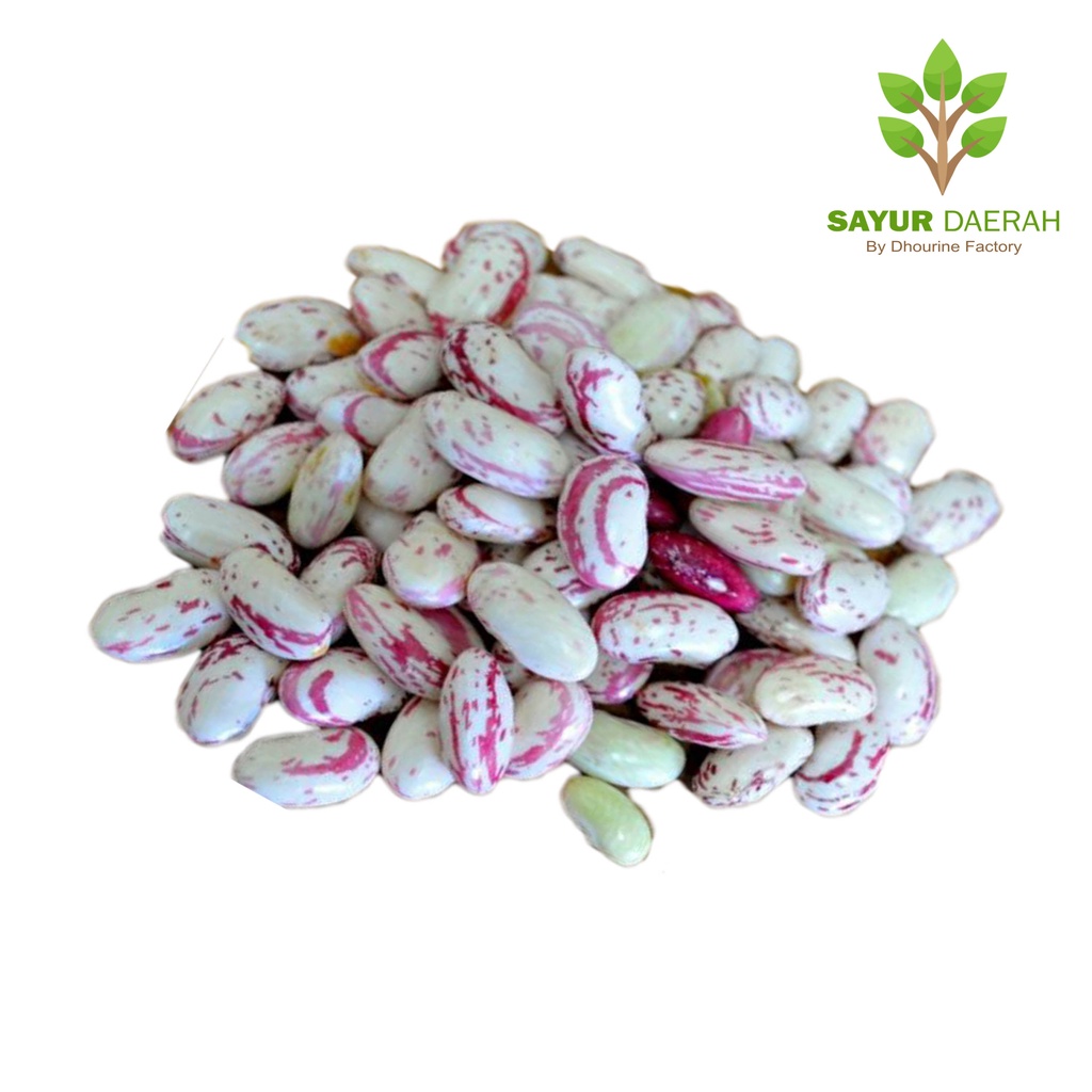 Jual Kacang Endul 500 Gr | Sayur Daerah | Shopee Indonesia