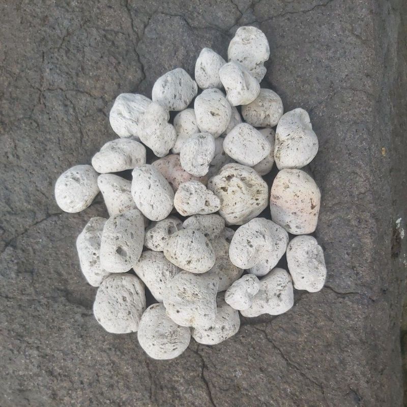 Jual Batu Apung Pumice Stone Media Filter Aquarium dan Kolam Ikan 1 kg ...