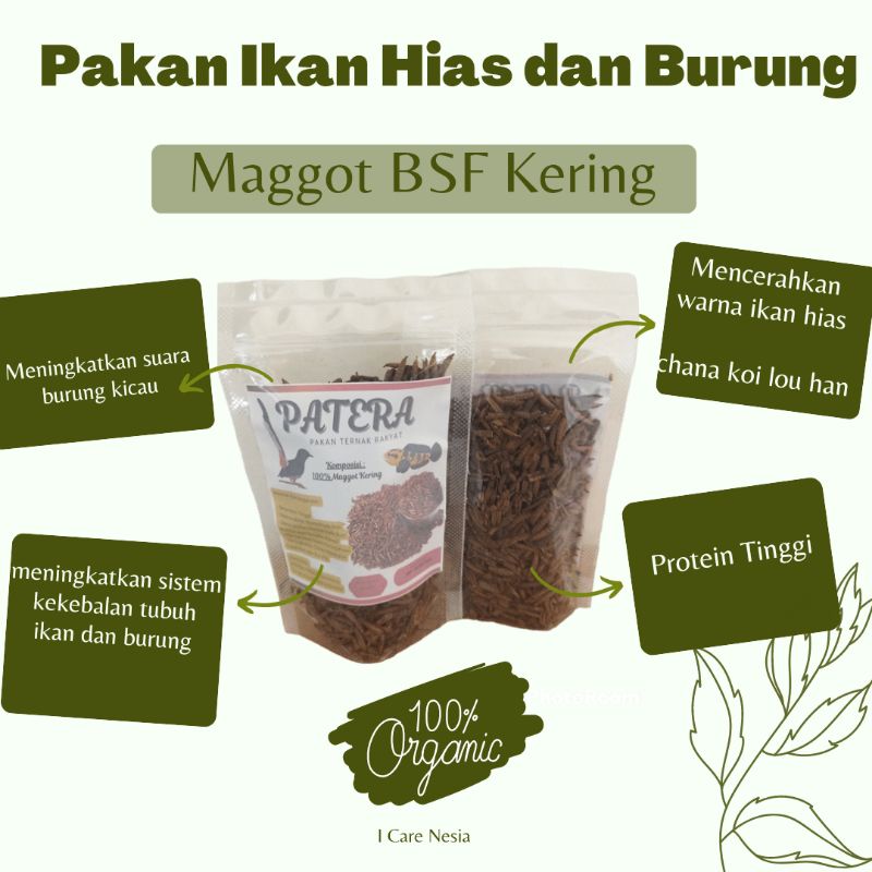 Jual Magot BSF Kering Maggot Pakan Ikan Arwana Oscar Chana Ikan Hias ...