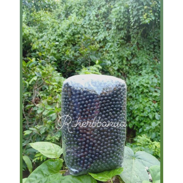 Jual JAMU PIL MANJAKANI 1 kG | Shopee Indonesia