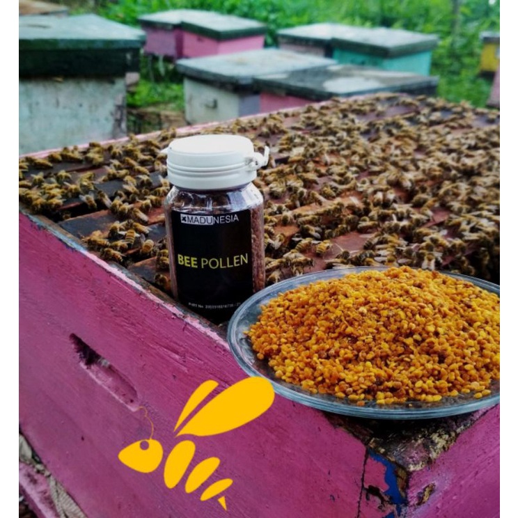 Jual bee pollen lebah randu 500 gram | Shopee Indonesia