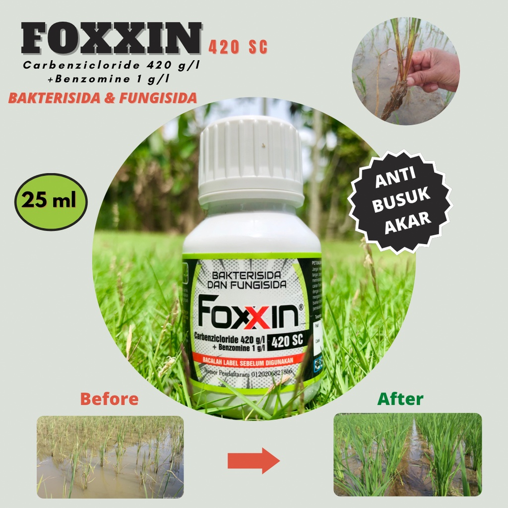 Jual FOXXIN - Netto 25ml Pupuk Cair Fungisida Dan Bakterisida Terbaik ...