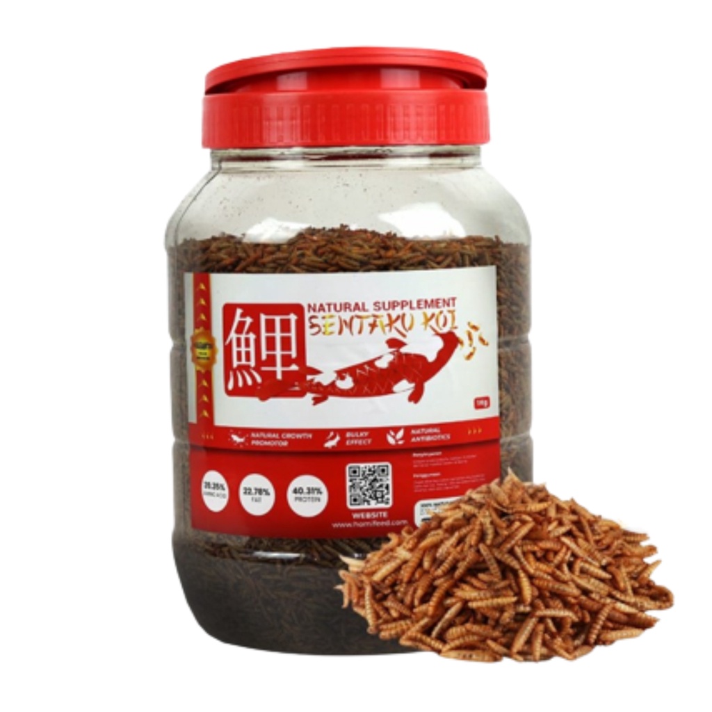 Jual Sentaku Koi 1 kg Maggot Larva Ulat Kering BSF Pakan Ikan Hias ...