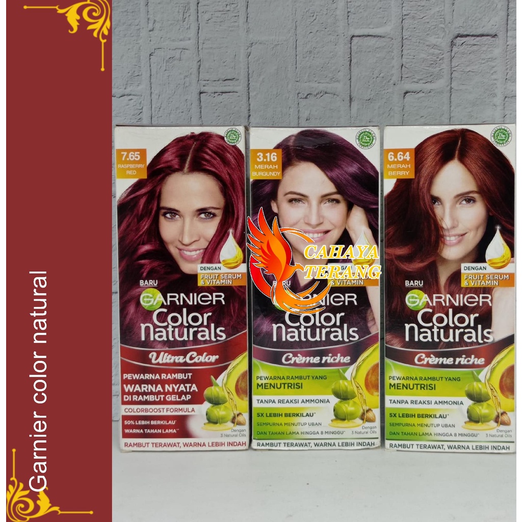 Jual Garnier Hair Color Naturals Cat Rambut Box Creme Riche-Ultra Color ...