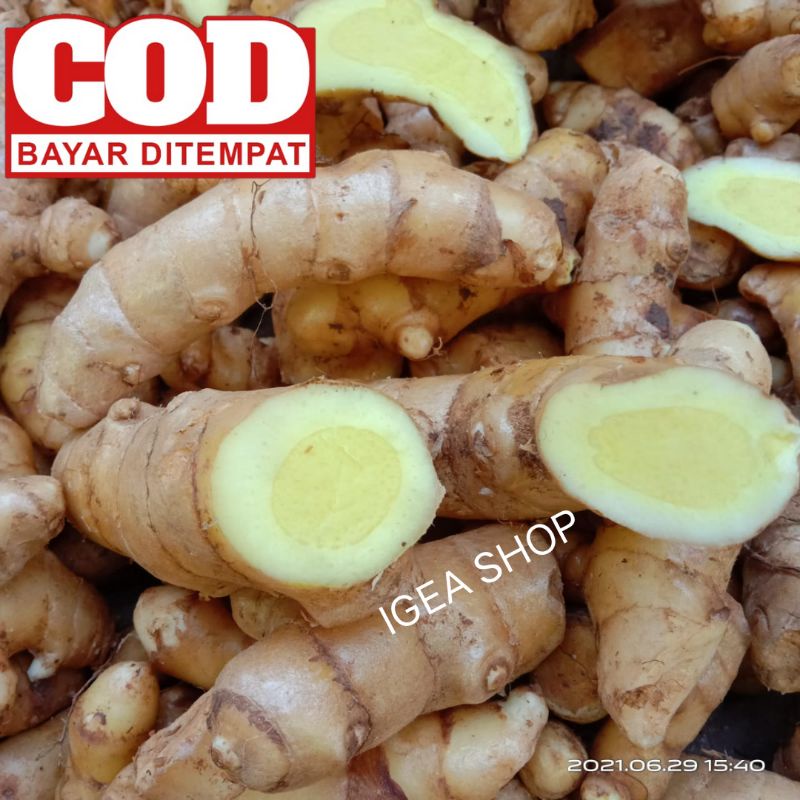 Jual Temu Mangga Segar 1kg/Kunyit Mangga | Shopee Indonesia