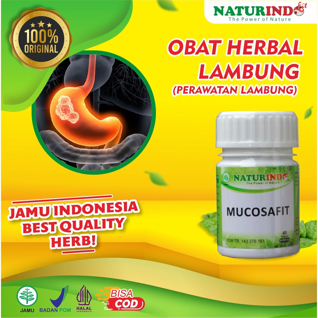 Jual Obat Asam Lambung Ampuh Maag Gerd Masuk Angin Kronis Herbal Paling ...