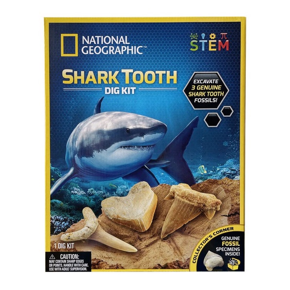 Jual Lenspen National Geographic Shark Tooth Dig Kit | Shopee Indonesia