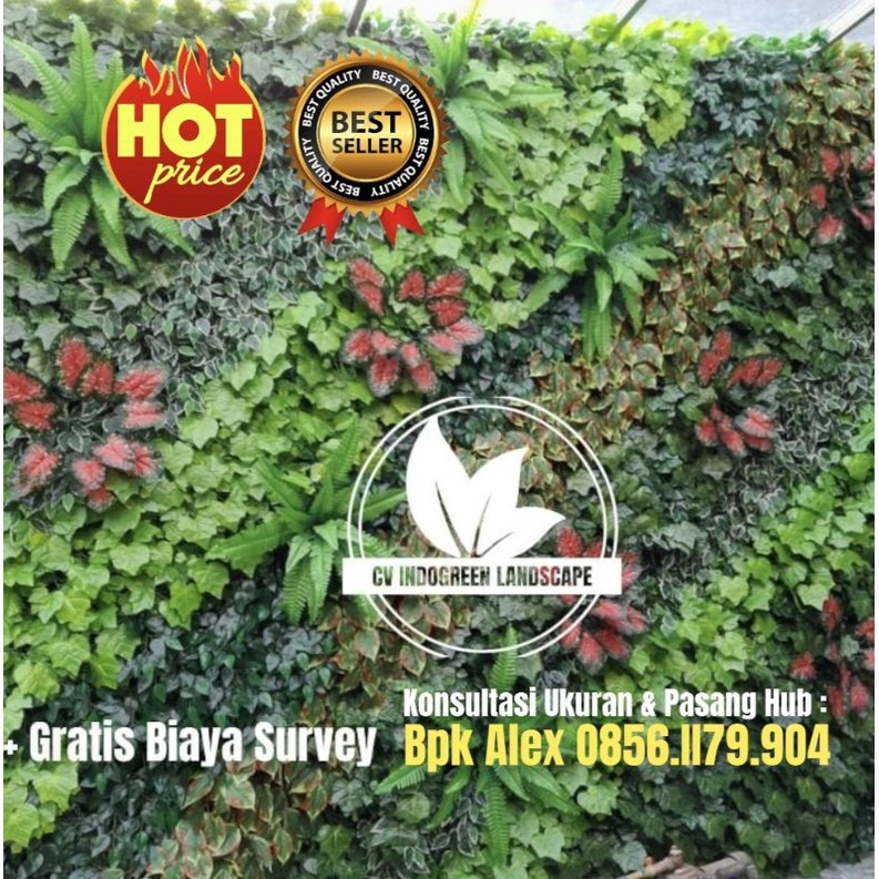 Jual GROSIR TANAMAN PLASTIK - DAUN SINTETIS - TANAMAN RAMBAT - TANAMAN ...