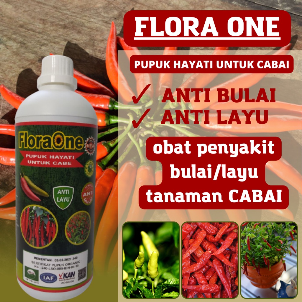 Jual Pupuk cabe cair, pupuk floraone untuk buah cabai, pupuk cair cabai ... Jual Pupuk cabe cair, pupuk floraone untuk buah cabai, pupuk cair cabai ...