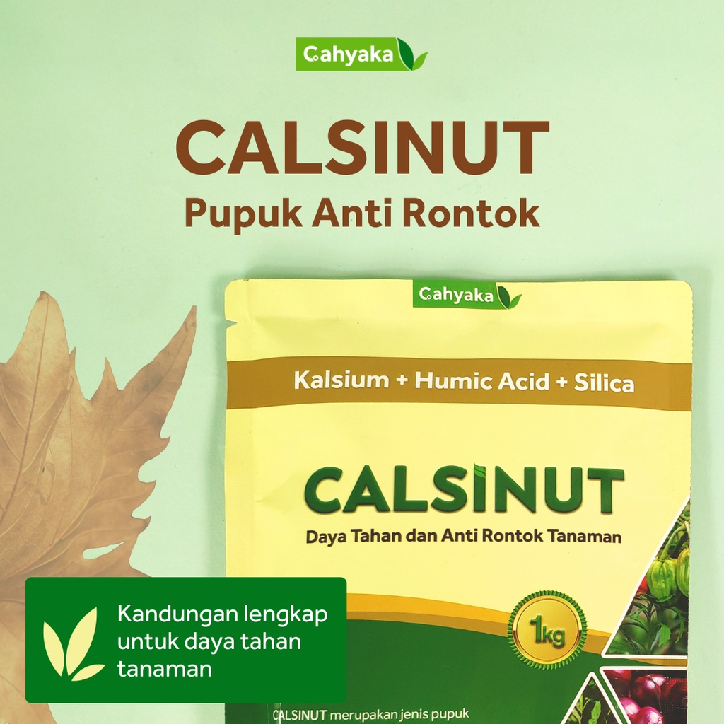 Jual Kalsium Tanaman Bunga Buah CALSINUT 1KG/ Calcium Buah/ Calsium ...