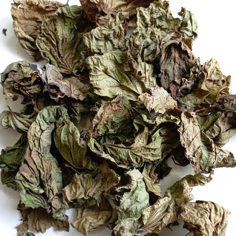 Jual Daun Paliasa Kering (50 Gram) | Shopee Indonesia