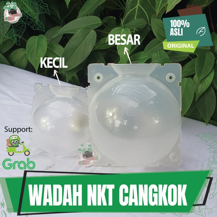 Jual Tempat Pot Wadah Media Tanam Cangkok Mencangkok Tanaman Batang ...