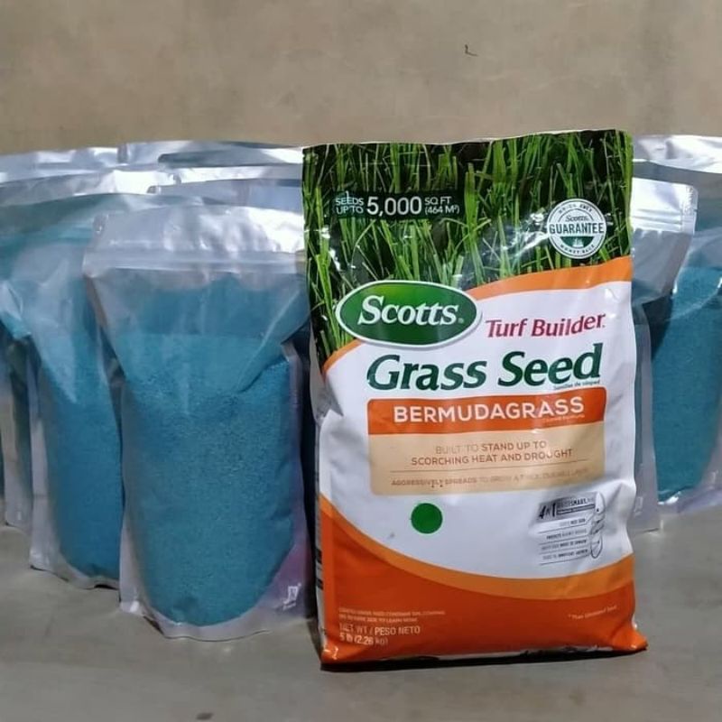 Jual benih biji rumput golf &jepang 20gram - benih rumput | Shopee ...