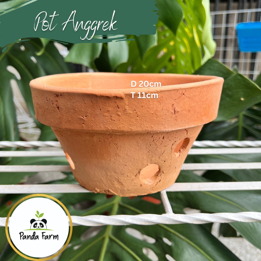 Jual Pot anggrek mangkok terracota tanah liat gerabah | Shopee Indonesia