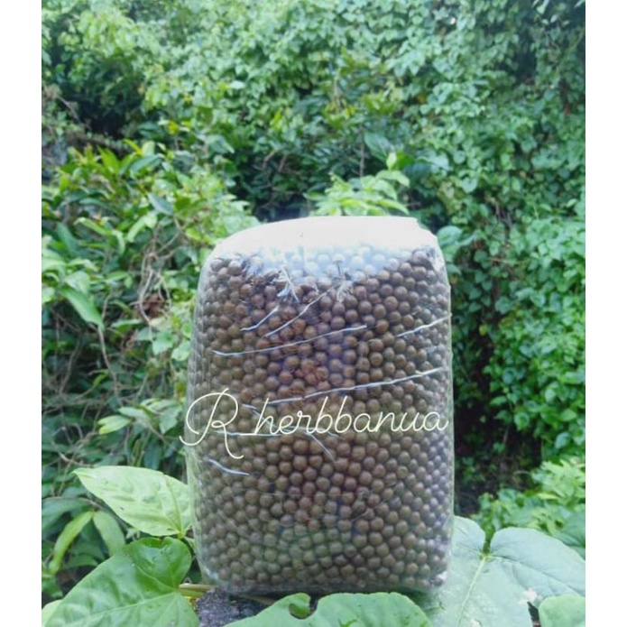 Jual JAMU PINANG MUDA 1 KG | Shopee Indonesia